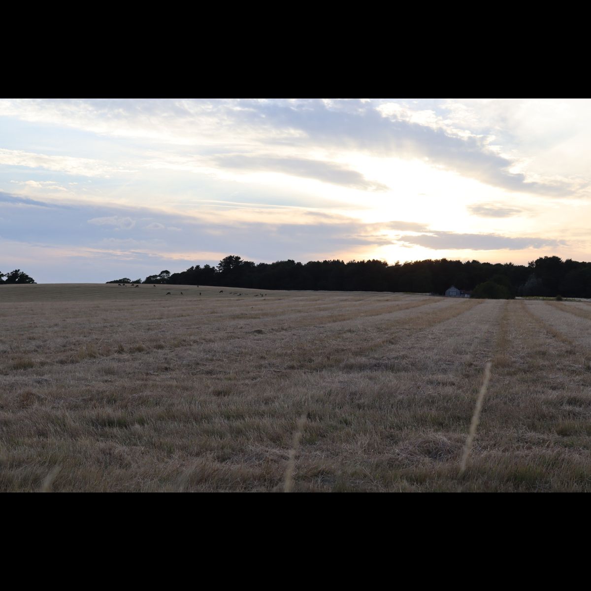 Farmers helping farmers